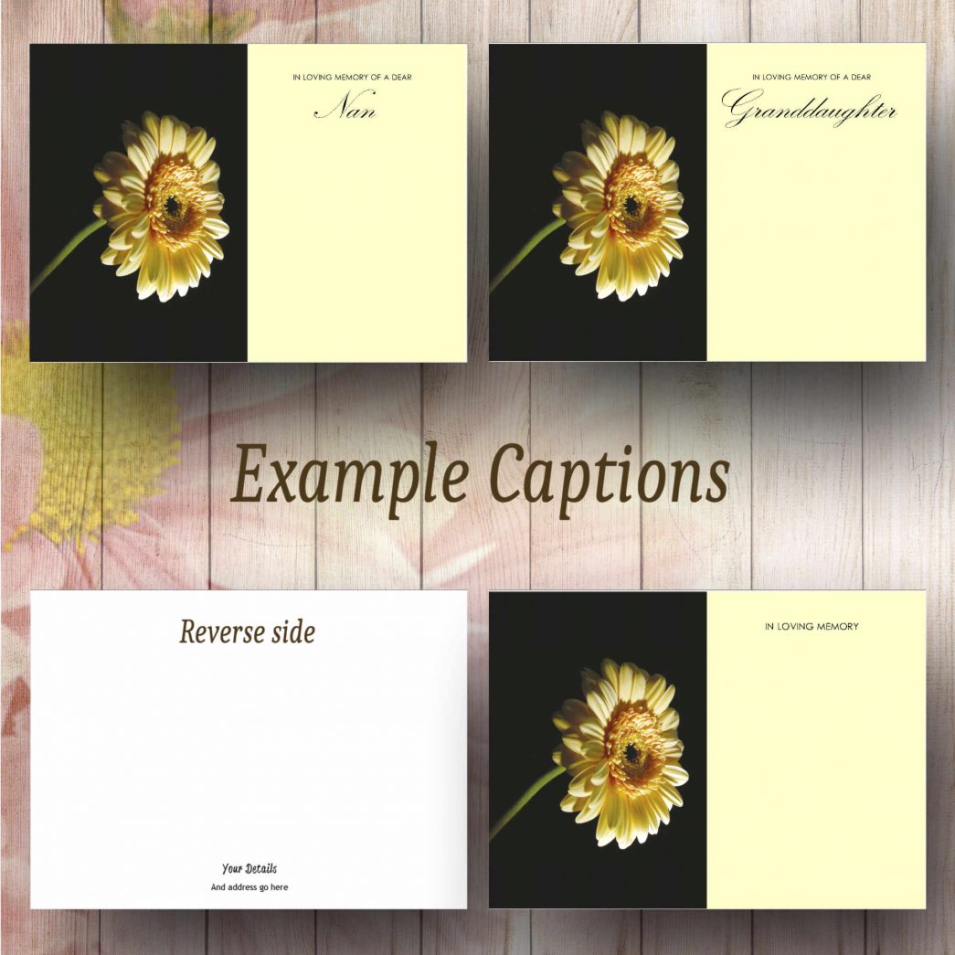 Yellow Gerbera Funeral Floral Message Cards (Large)