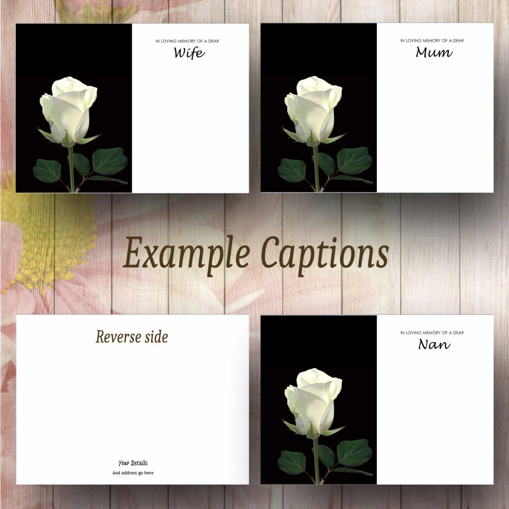 Single White Rose Florist Funeral Cards Large Size